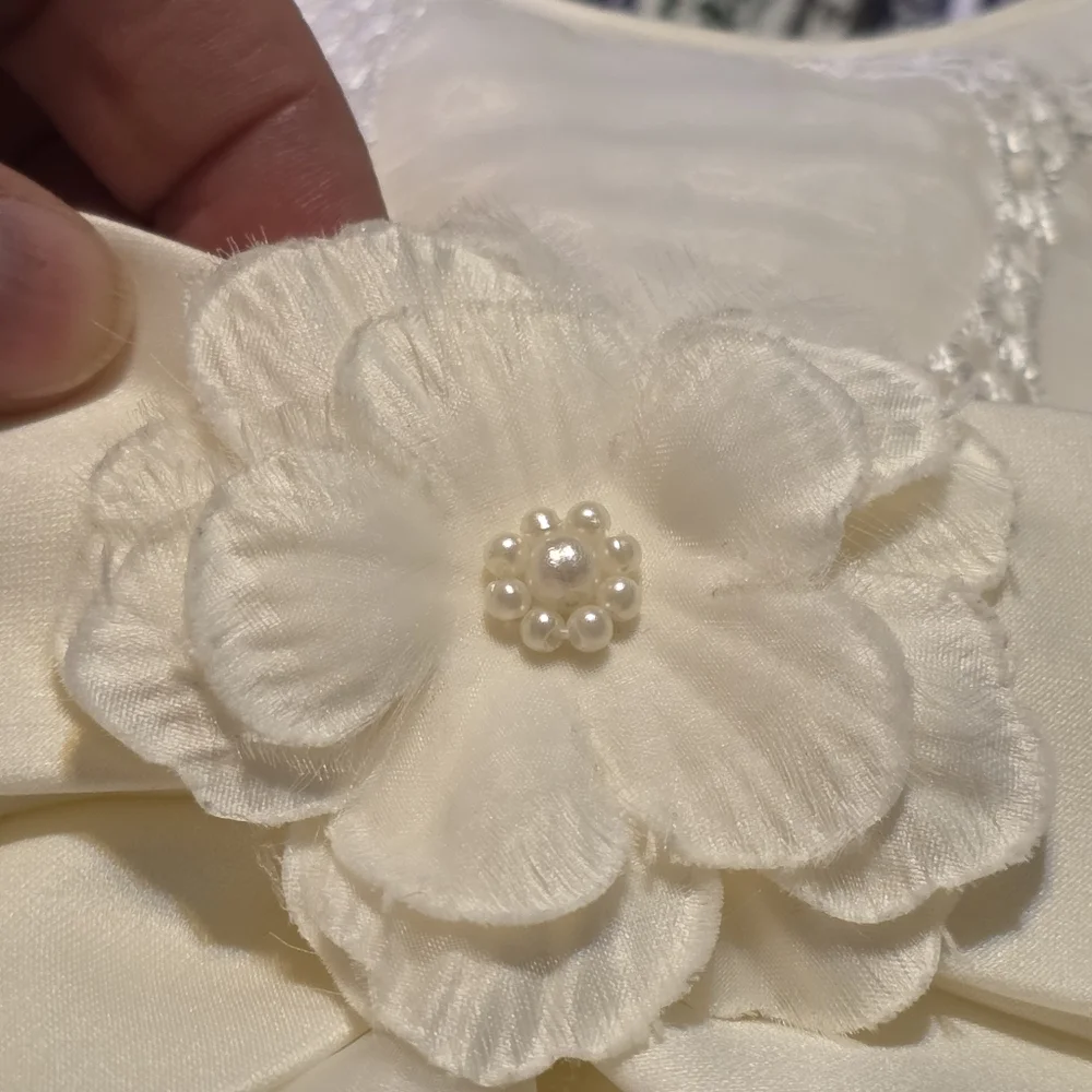 American Princess | Dresses | American Princess Formal Infant Dress ...